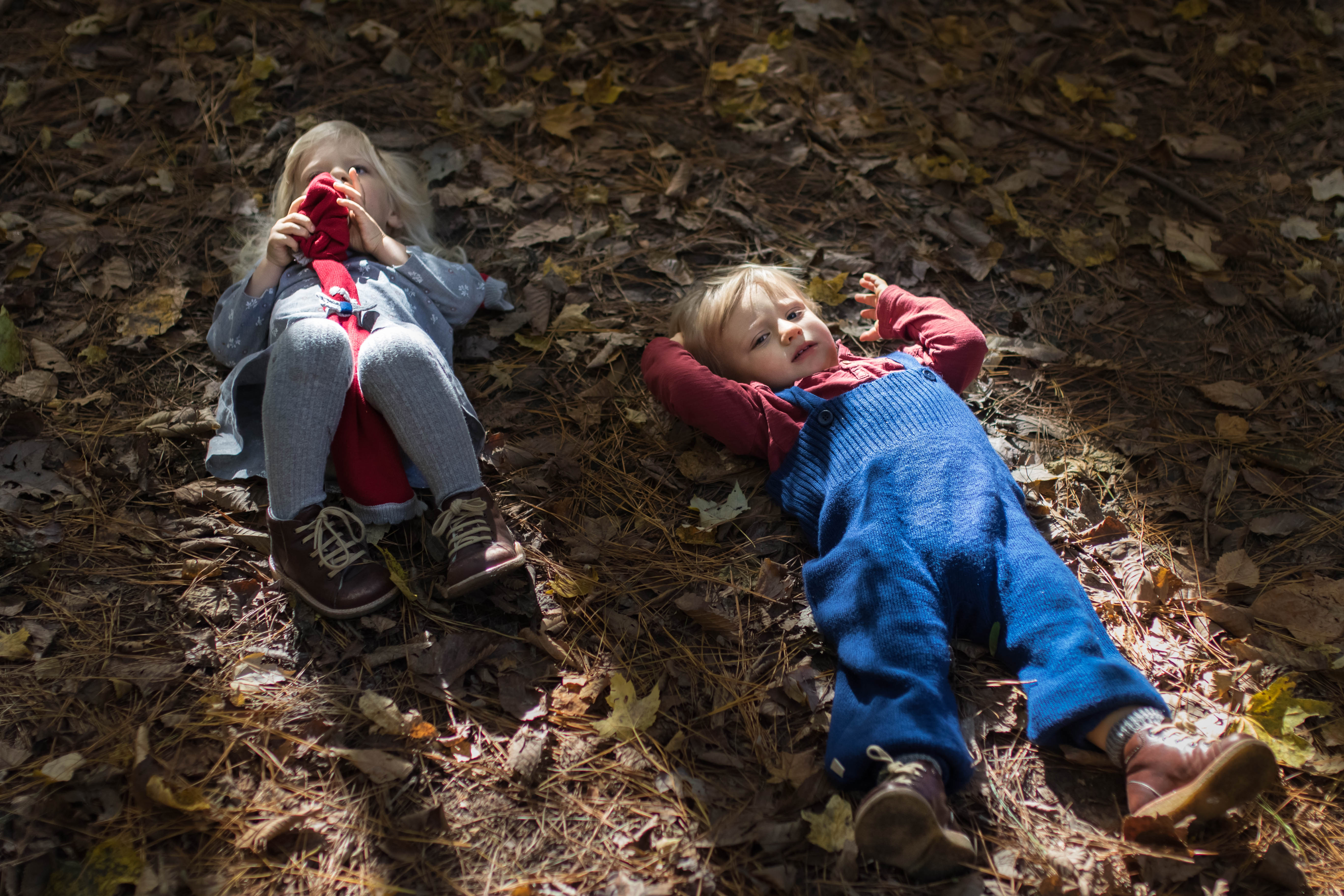 Root Children | momentsonmain